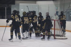 Home [saltcitykings.com]
